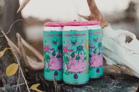 EVER GRAIN LUSUS NATURAE / 16 OZ CAN / 4PK | Rt 19 Beer and Toro